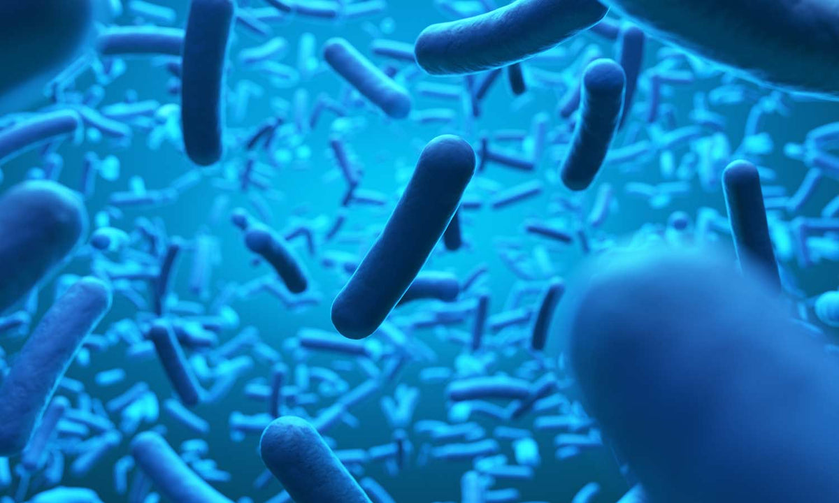 5 Insane Facts About Your Microbiome That You Need To Know About – JUVIA