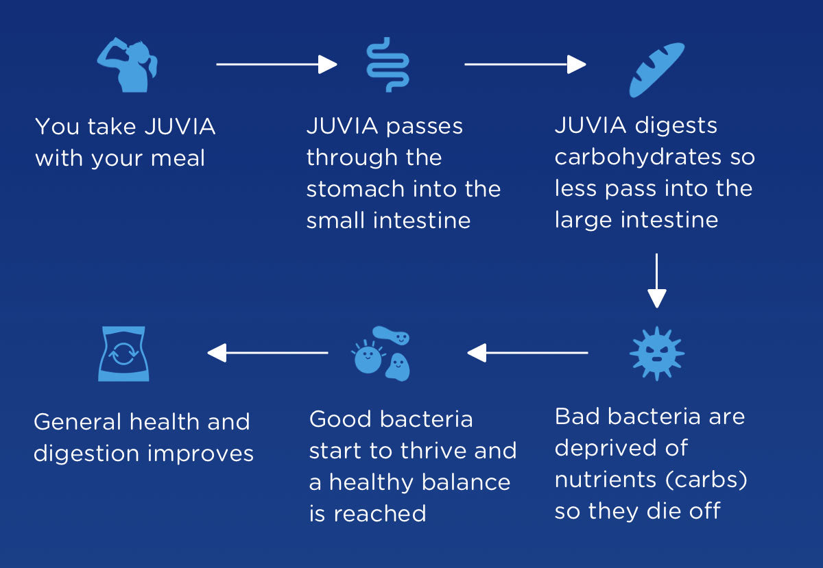 The Science Behind JUVIA: Gut Health Supplements | ERME Supplement